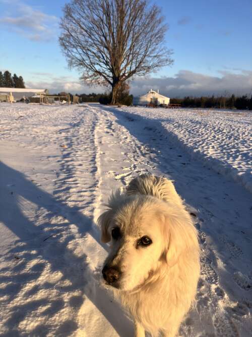 Moondance Organics - Farm Blog